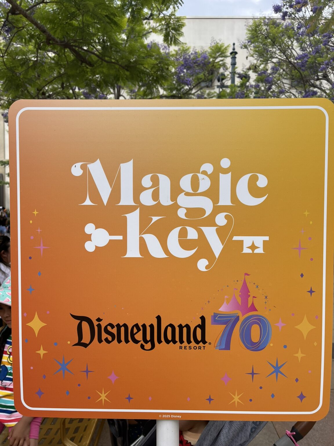 Select Disneyland Magic Key Passes Back on Sale Next Week | Disney ...
